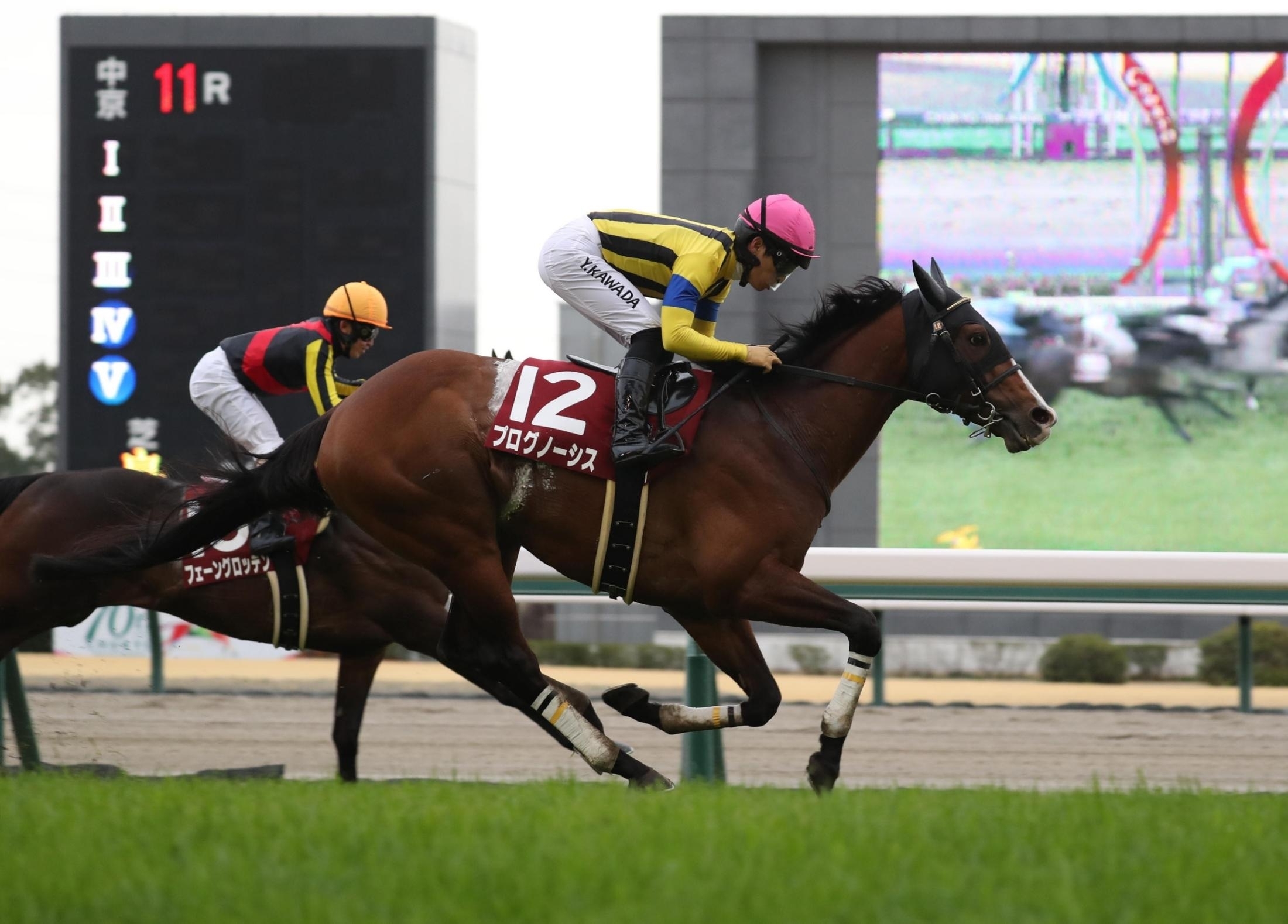 Prognosis Horse Introduction: Late Bloomer Aiming for G1 Title | Horse ...