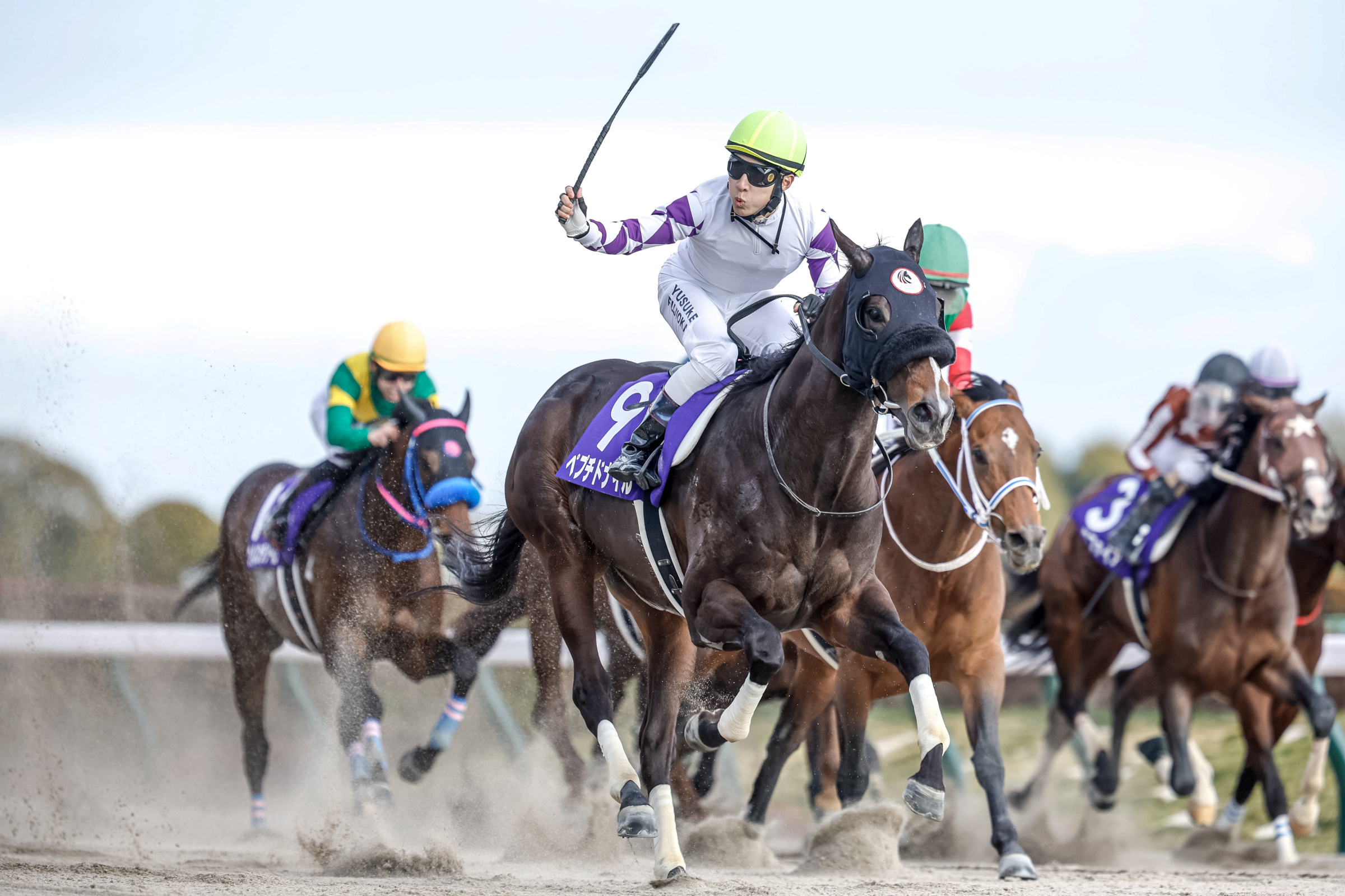 2024 Japanese G1 Races Schedule & Results | Horse Racing Library - netkeiba