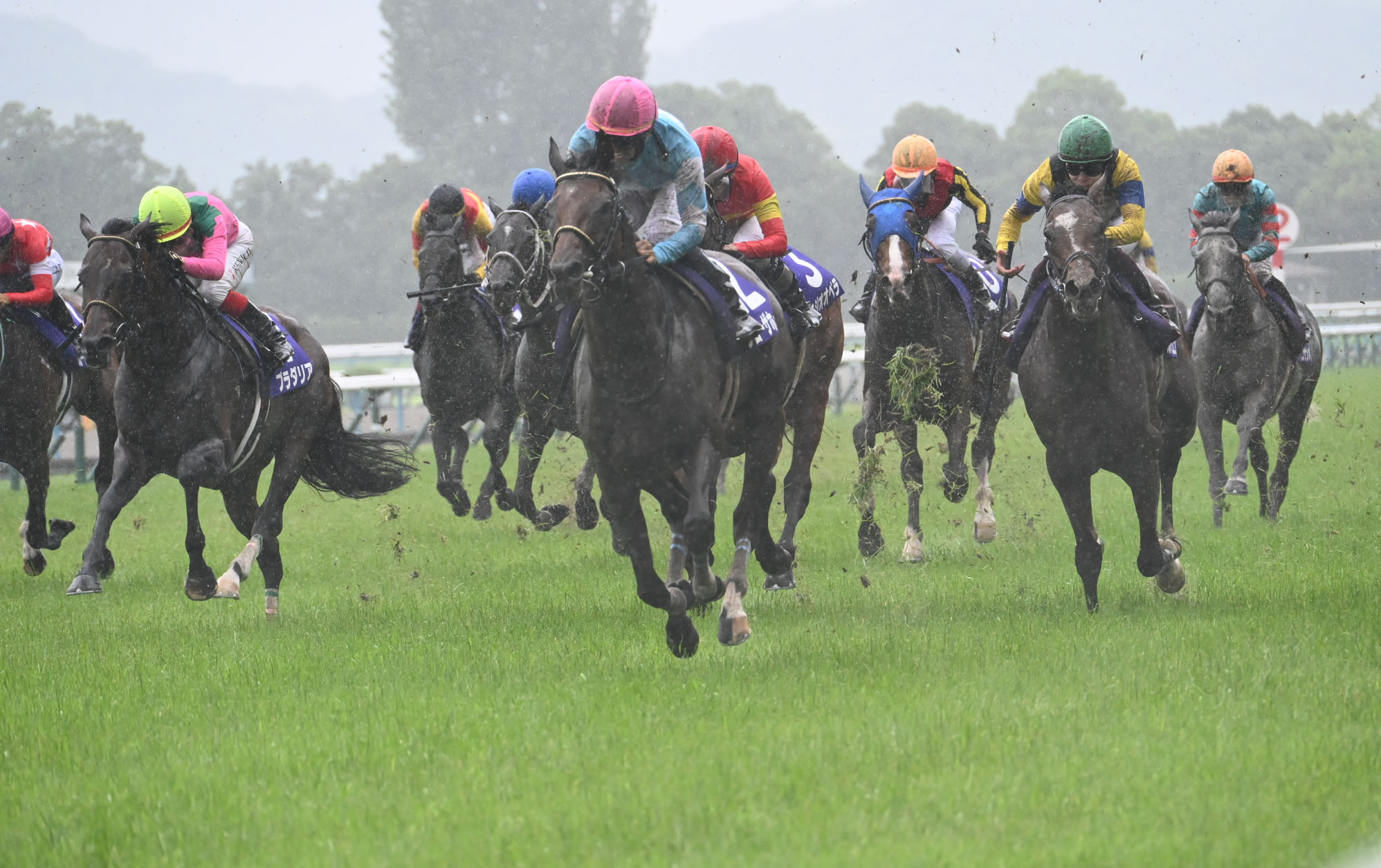 2024 Japanese G1 Races Schedule & Results | Horse Racing Library - netkeiba