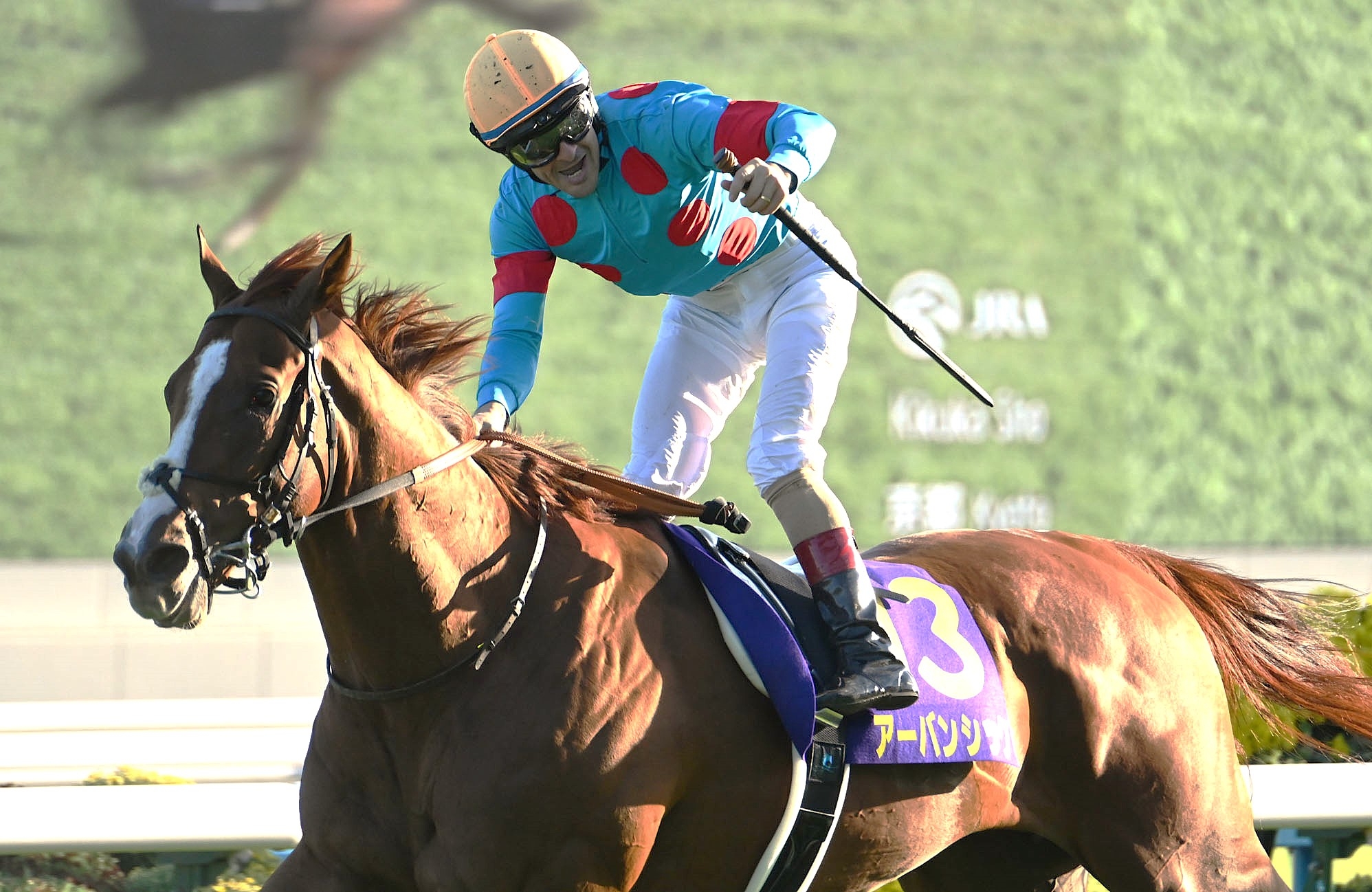 ARIMA KINEN 2024: Latest News, Entries, Race Overview, Racecourse ...