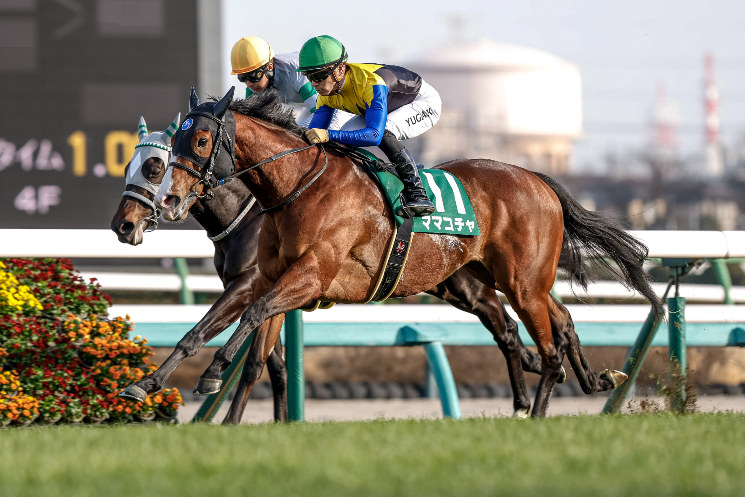 SPRINTERS STAKES 2025: Latest News, Entries, Notable Runners, Race ...